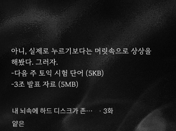 5MB 대충 3000자 정도 되나