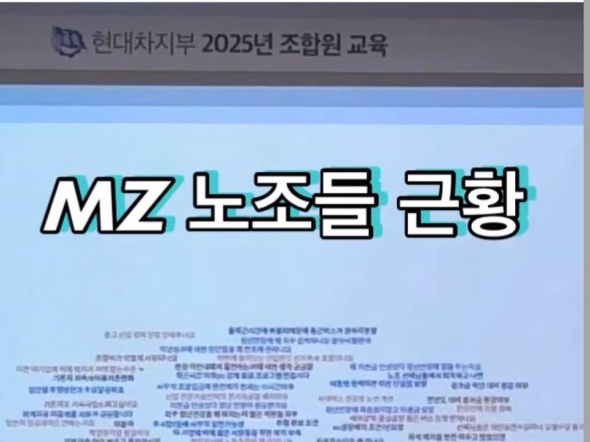 사진현대차 MZ 노조들 근황 펌