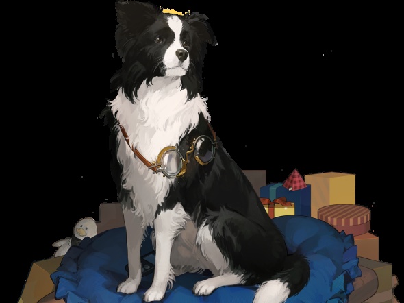 리버스1999 최근 갱신된 최연소 플블 캐릭터