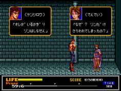 FIST OF THE NORTH STAR